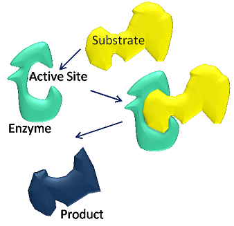 Substrate Examples