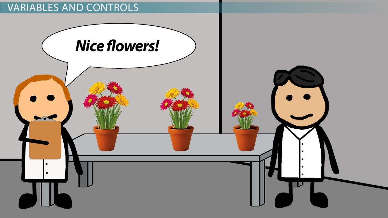 Variables Controls In A Science Experiment Video Lesson variables-controls-in-a-science-experiment-video-lesson